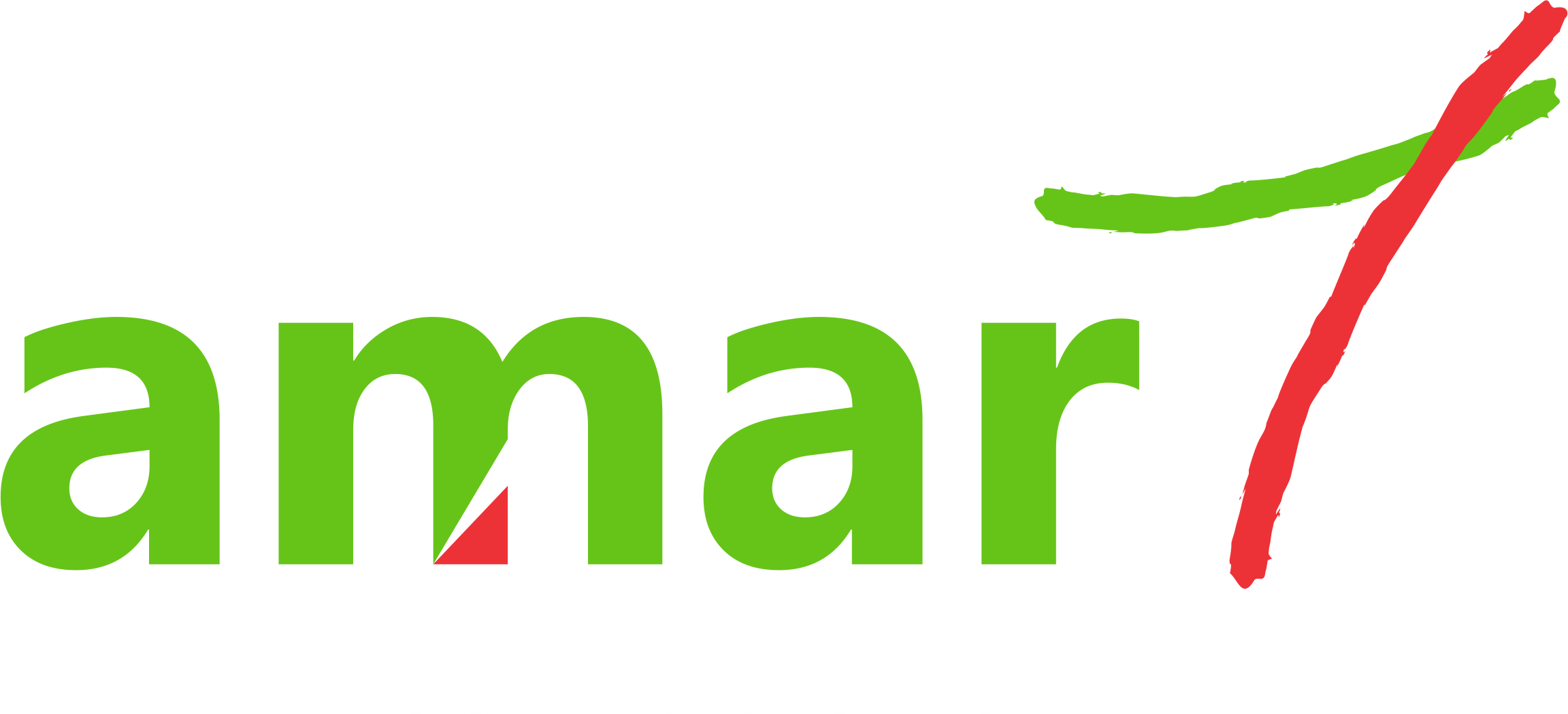 Amar International: Exporter of Premium Millet, Maize, and More